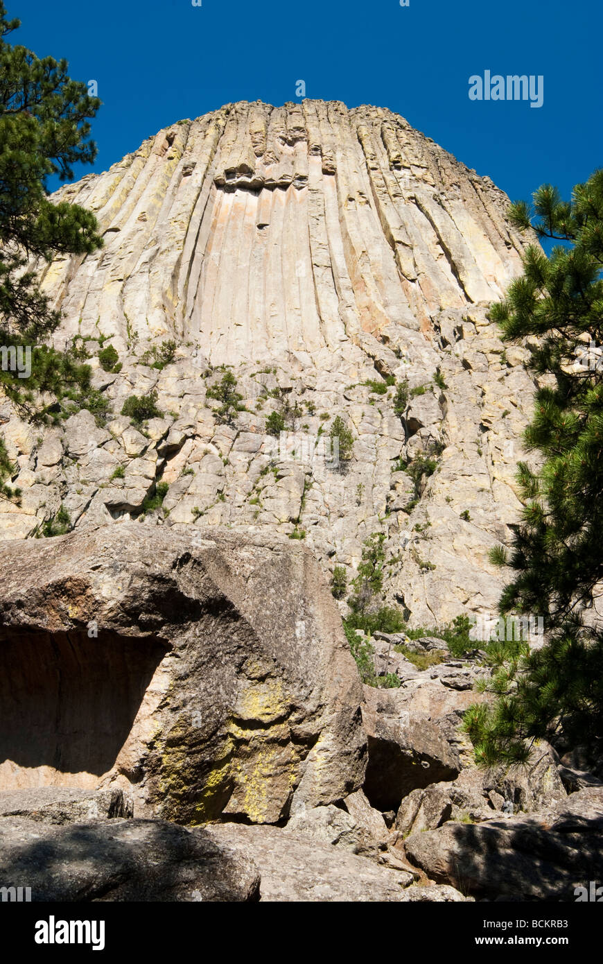 View of Devils Tower National Monument in Wyoming Stock Photo - Alamy
