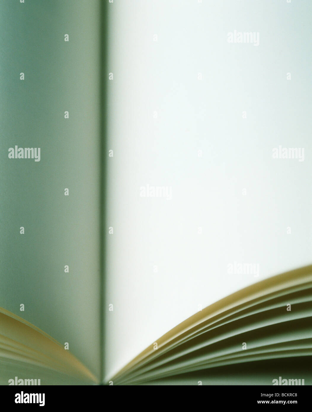 Blank book, close-up Stock Photo - Alamy