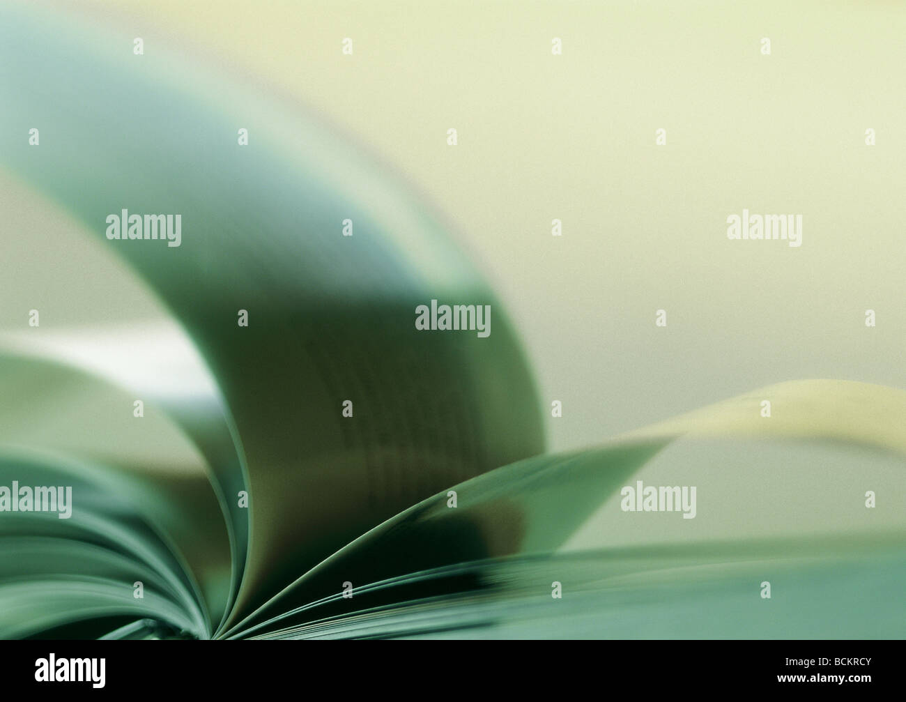 Open book, close-up Stock Photo - Alamy