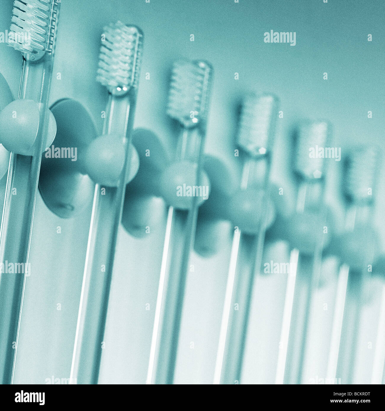 Line of toothbrushes in toothbrush holders Stock Photo - Alamy