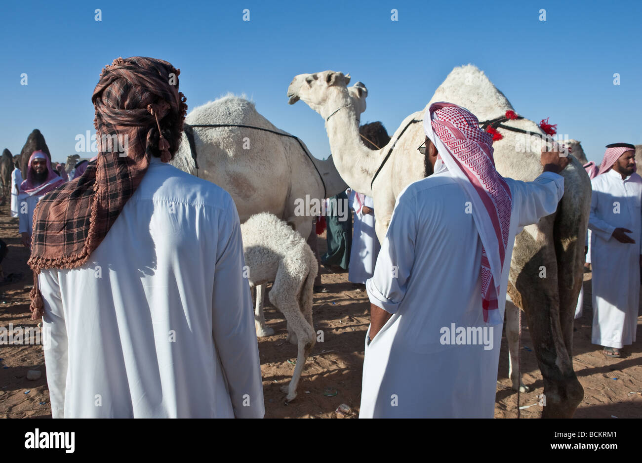 Souq Al Jamal High Resolution Stock Photography and Images - Alamy