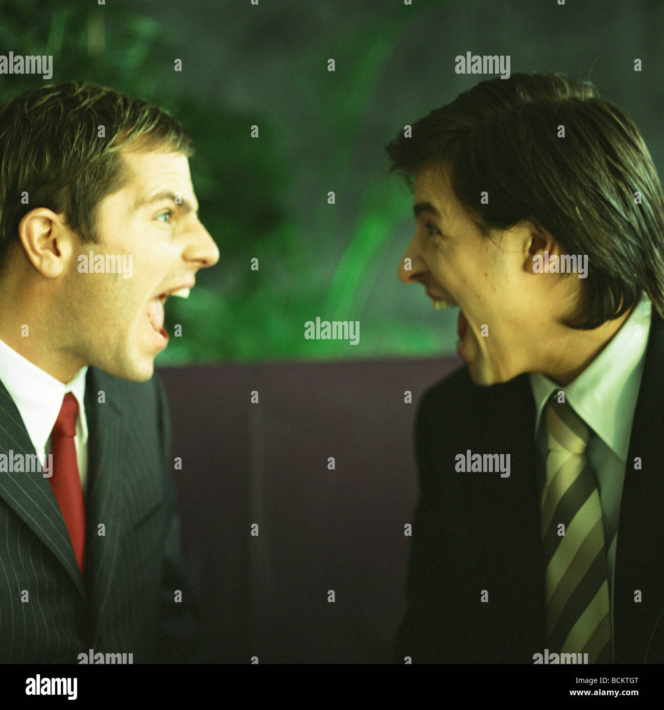 Businessmen yelling face to face Stock Photo - Alamy