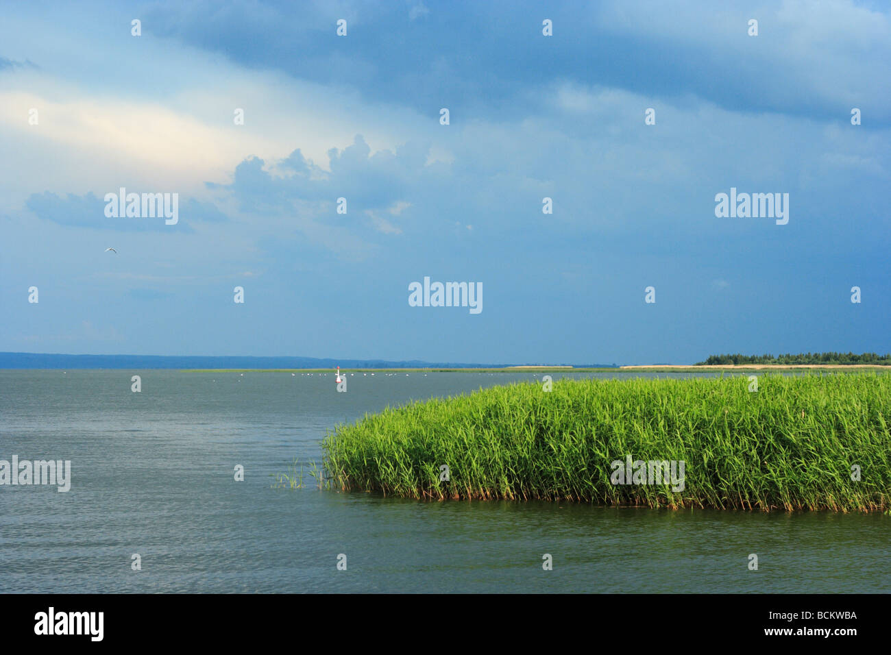 The Vistula Lagoon Polish Zalew Wiślany in Poland Stock Photo - Alamy