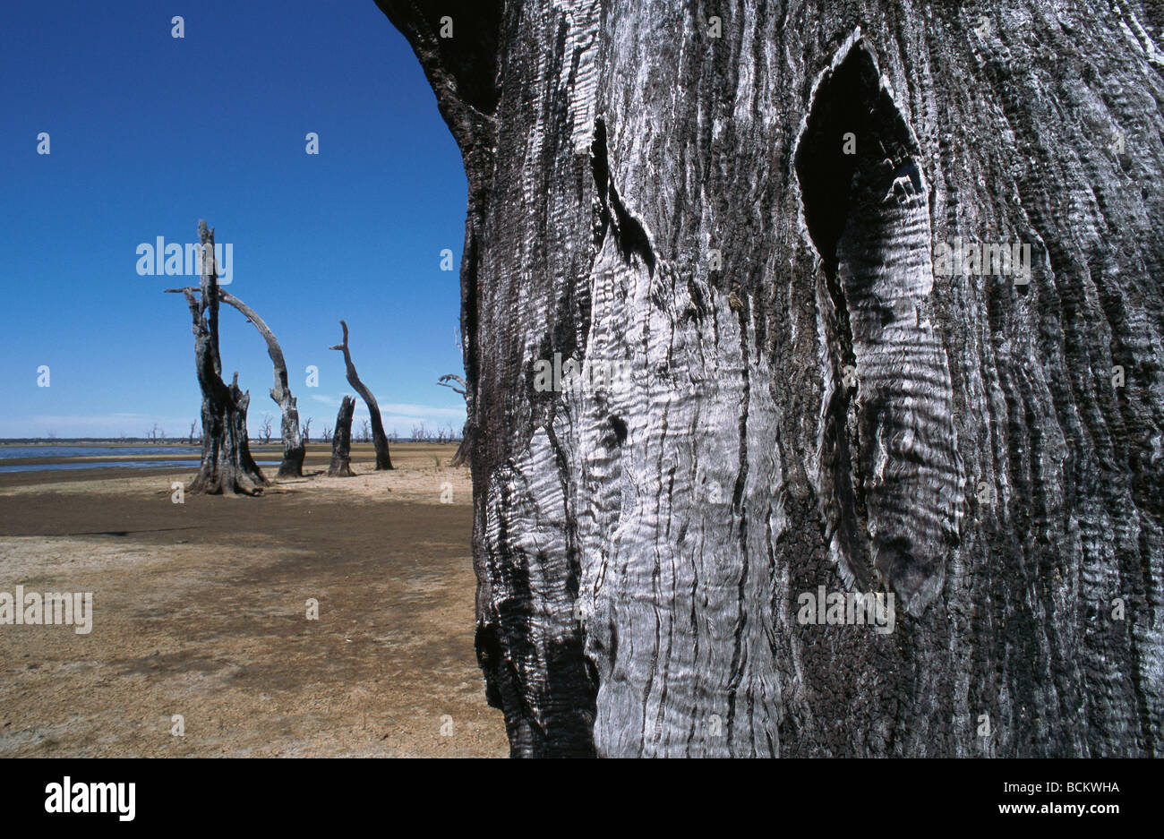 Australian drought landscapes hi-res stock photography and images - Alamy