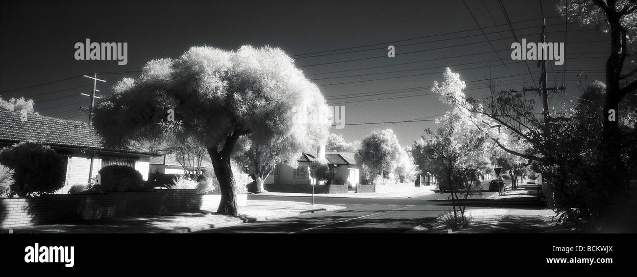 Suburban landscape, b&w Stock Photo - Alamy