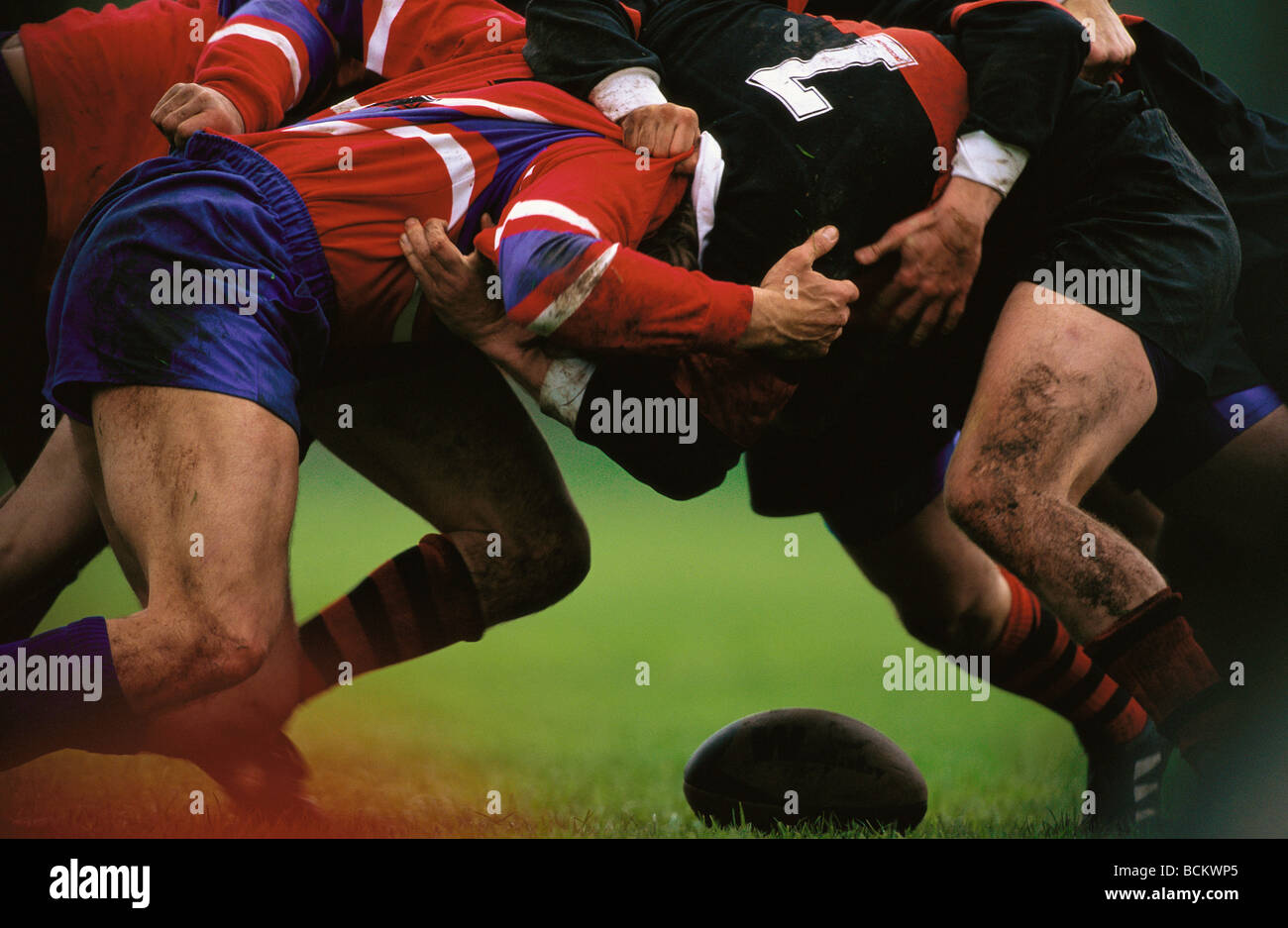 Scrums hi-res stock photography and images - Alamy