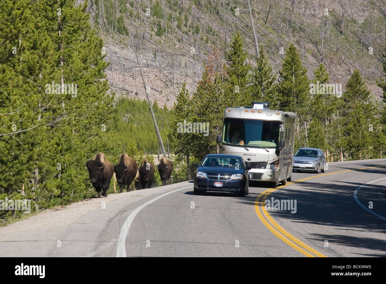 Yellowstone road hi-res stock photography and images - Alamy