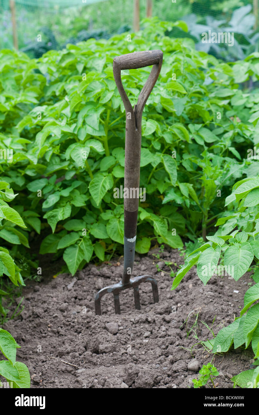 Green fork handle hi-res stock photography and images - Alamy