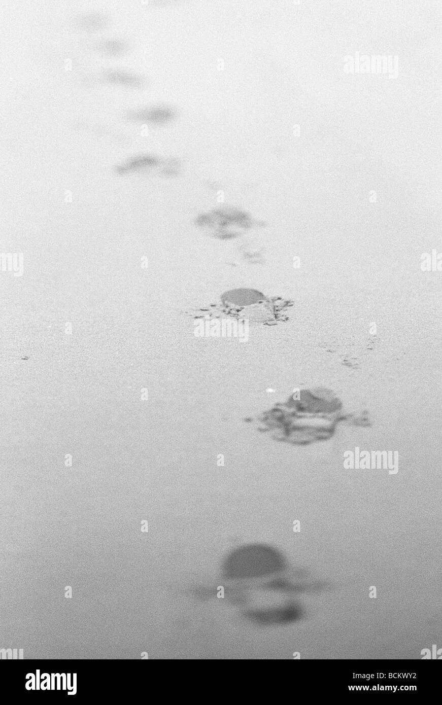 Sand daylight Black and White Stock Photos & Images - Alamy