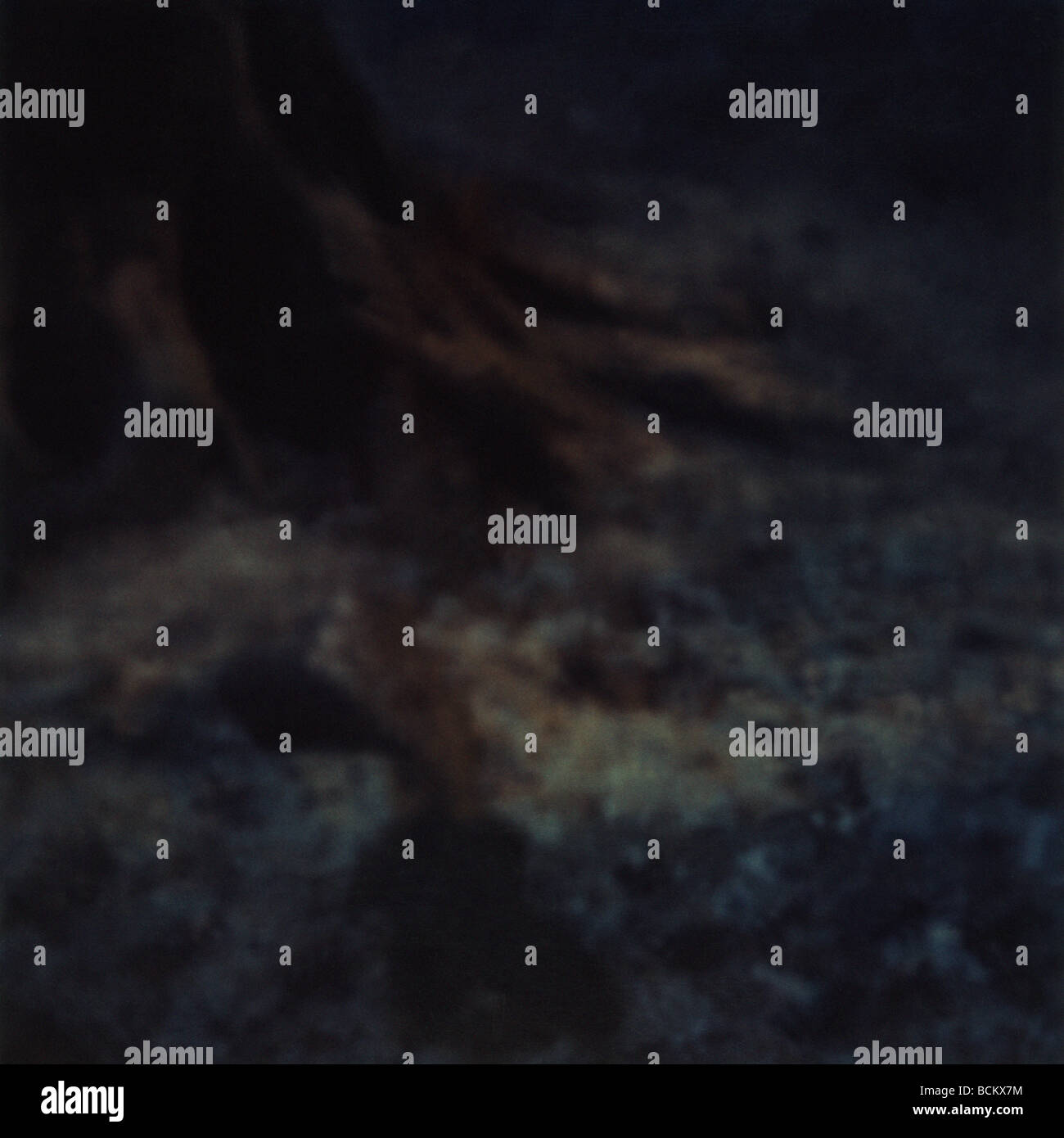 Tree roots in ground Stock Photo - Alamy