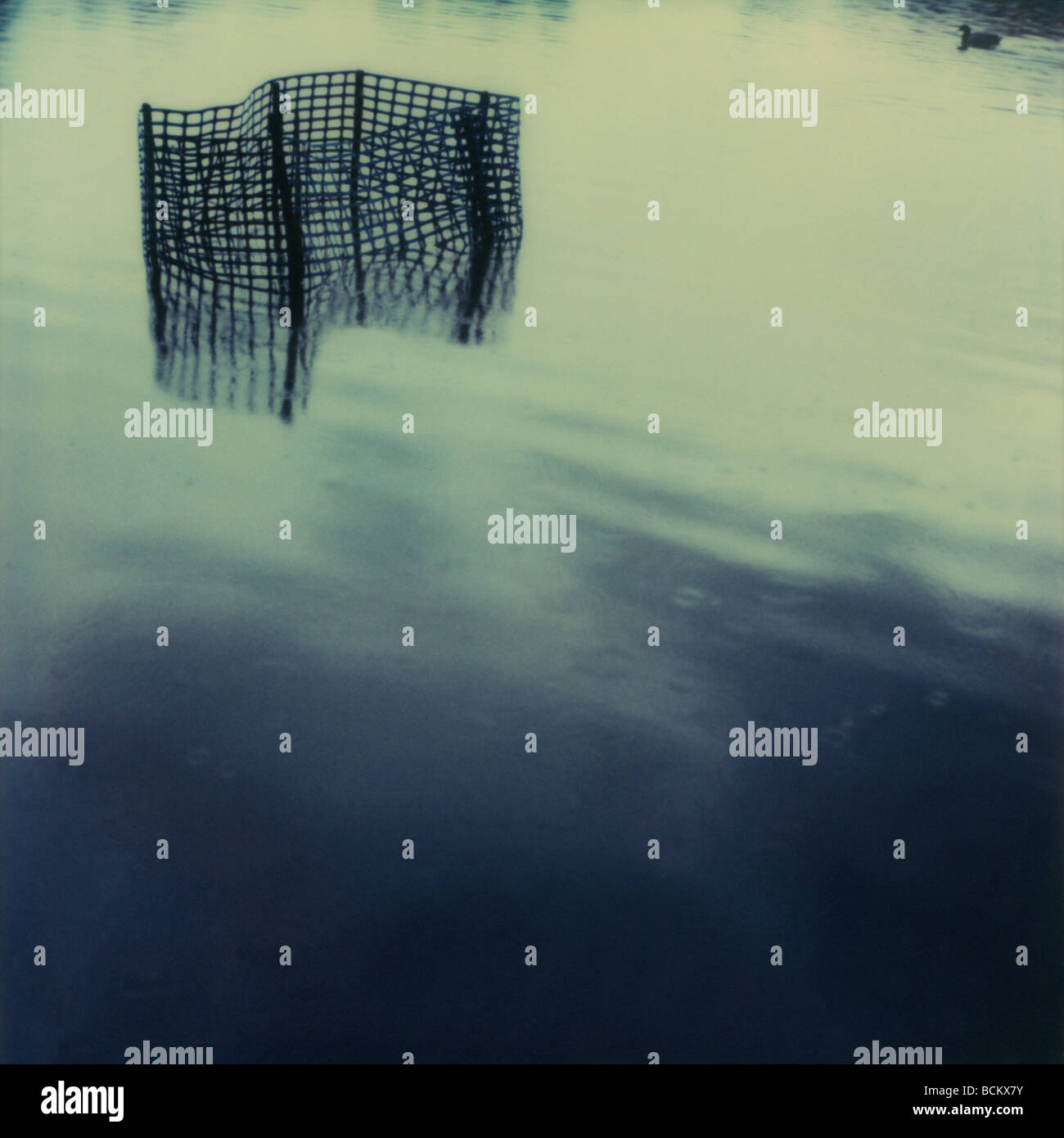 Fenced off area in lake, close-up Stock Photo - Alamy