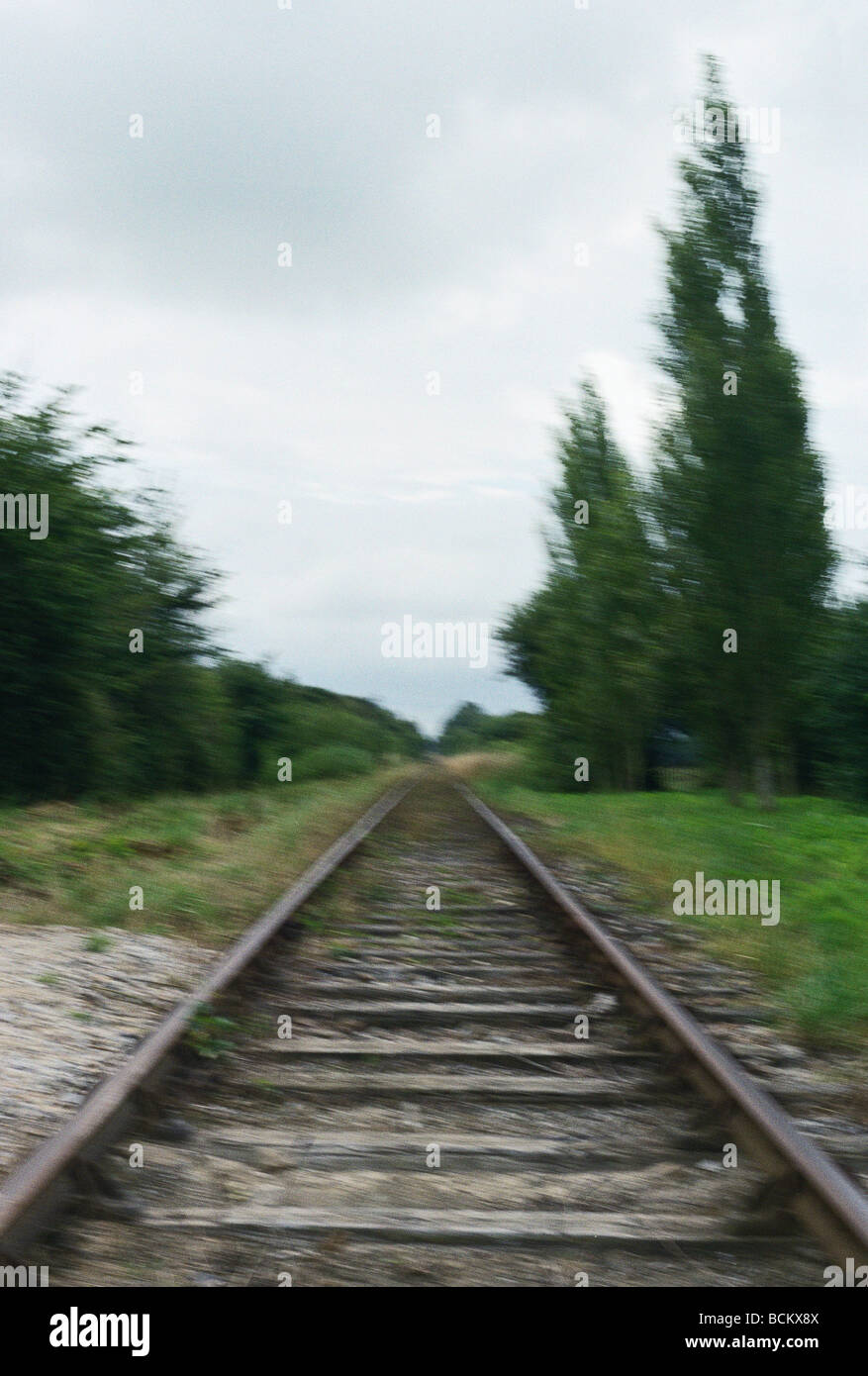 Traintrack trees hi-res stock photography and images - Alamy