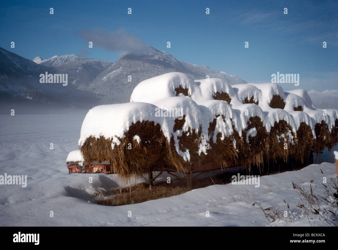 British columbia farm scenes hi-res stock photography and images - Alamy