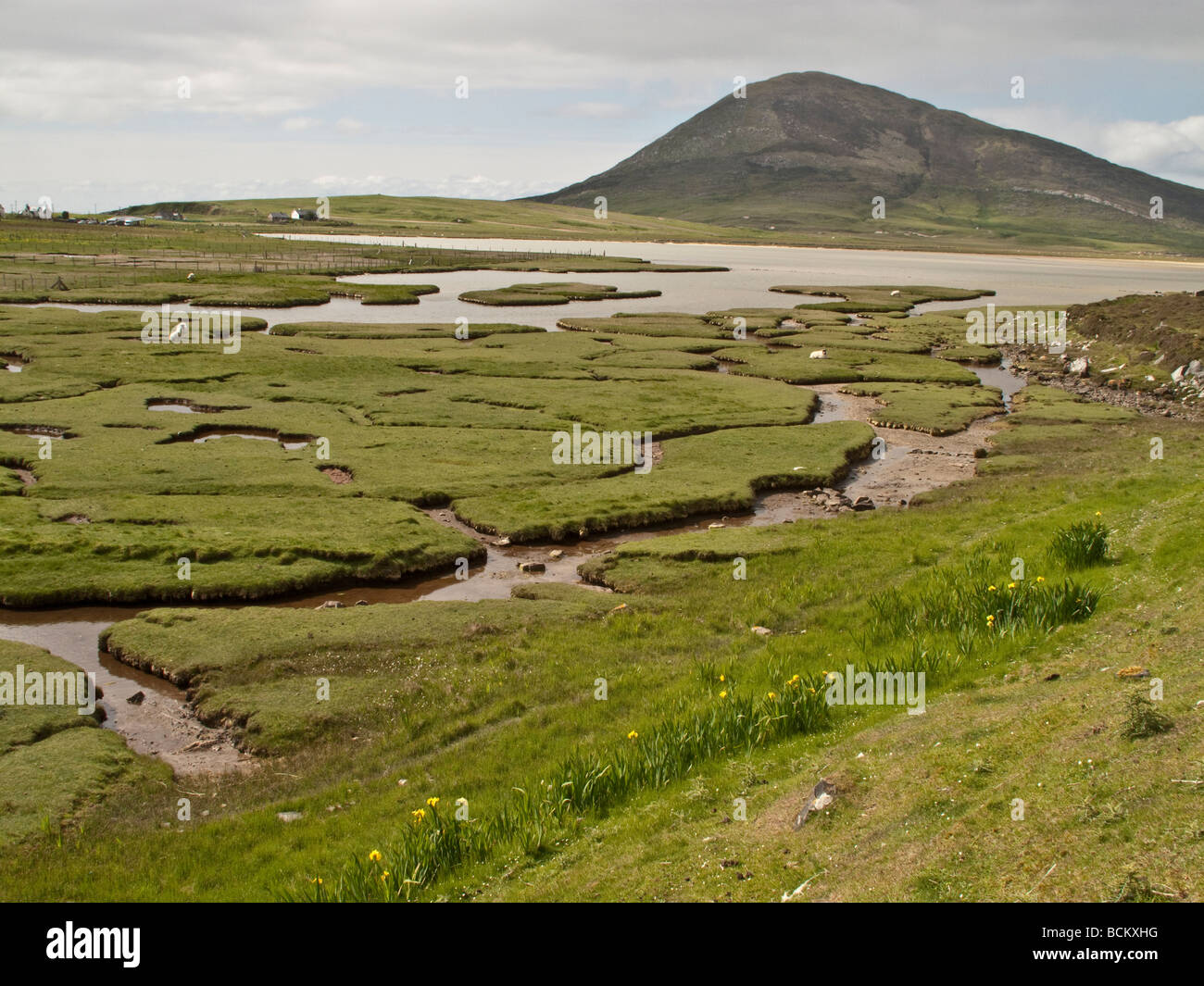 The saltings scotland hi-res stock photography and images - Alamy