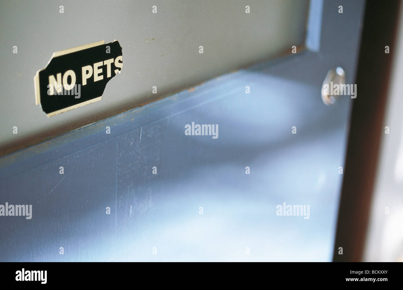 No Pets sign on door Stock Photo - Alamy
