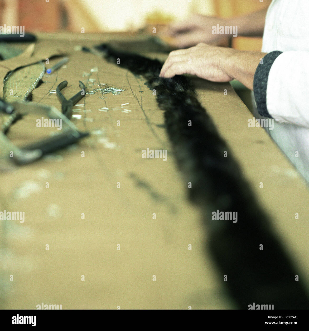 Individual fur pattern hi-res stock photography and images - Alamy