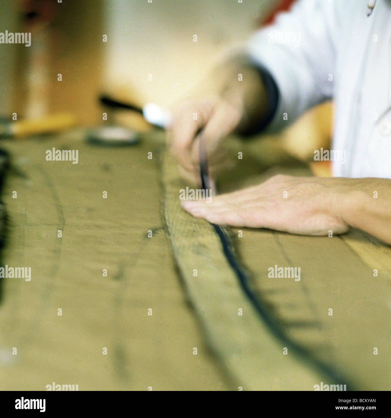 Individual fur pattern hi-res stock photography and images - Alamy