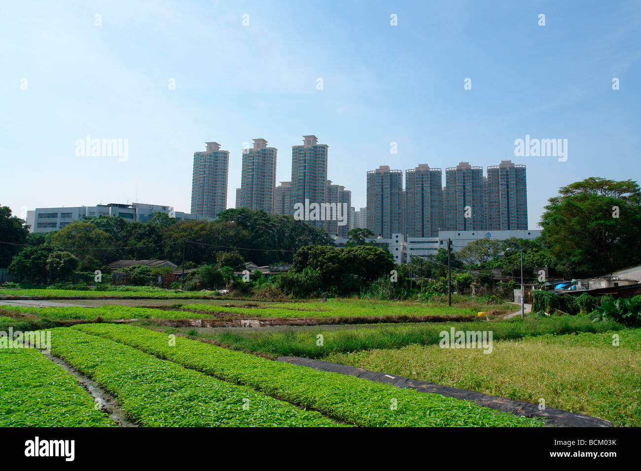 Fanling new territories hi-res stock photography and images - Alamy
