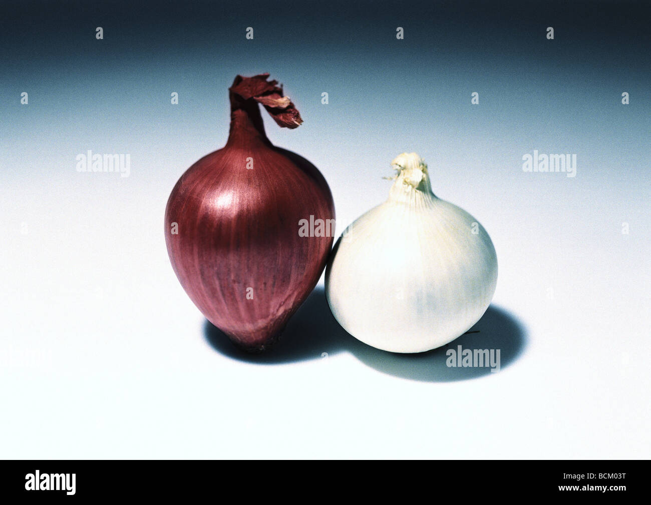 Red and white onion Stock Photo - Alamy
