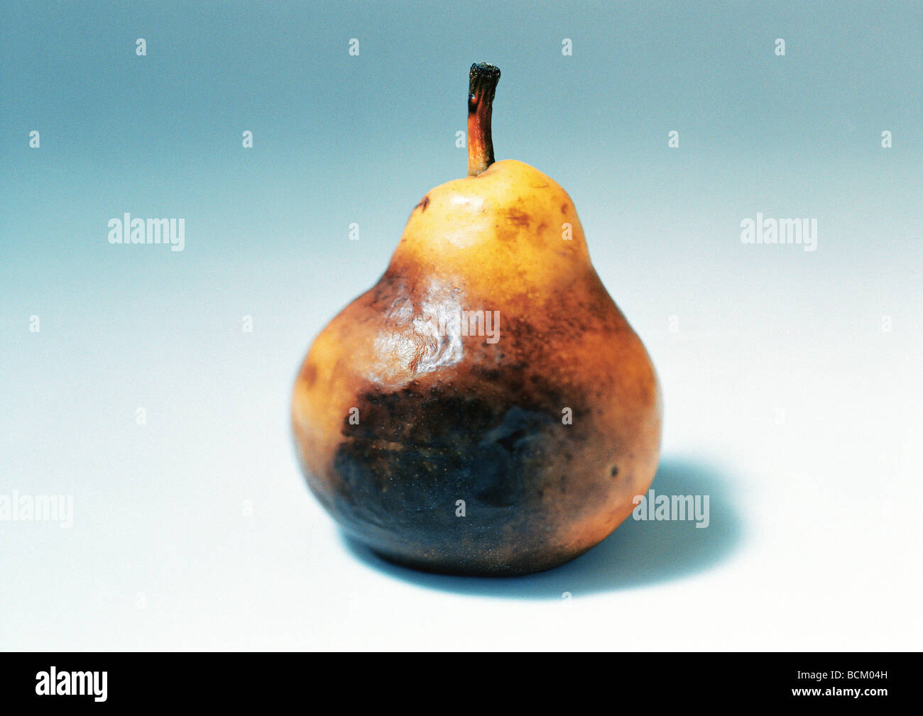 Bruised pear hi-res stock photography and images - Alamy