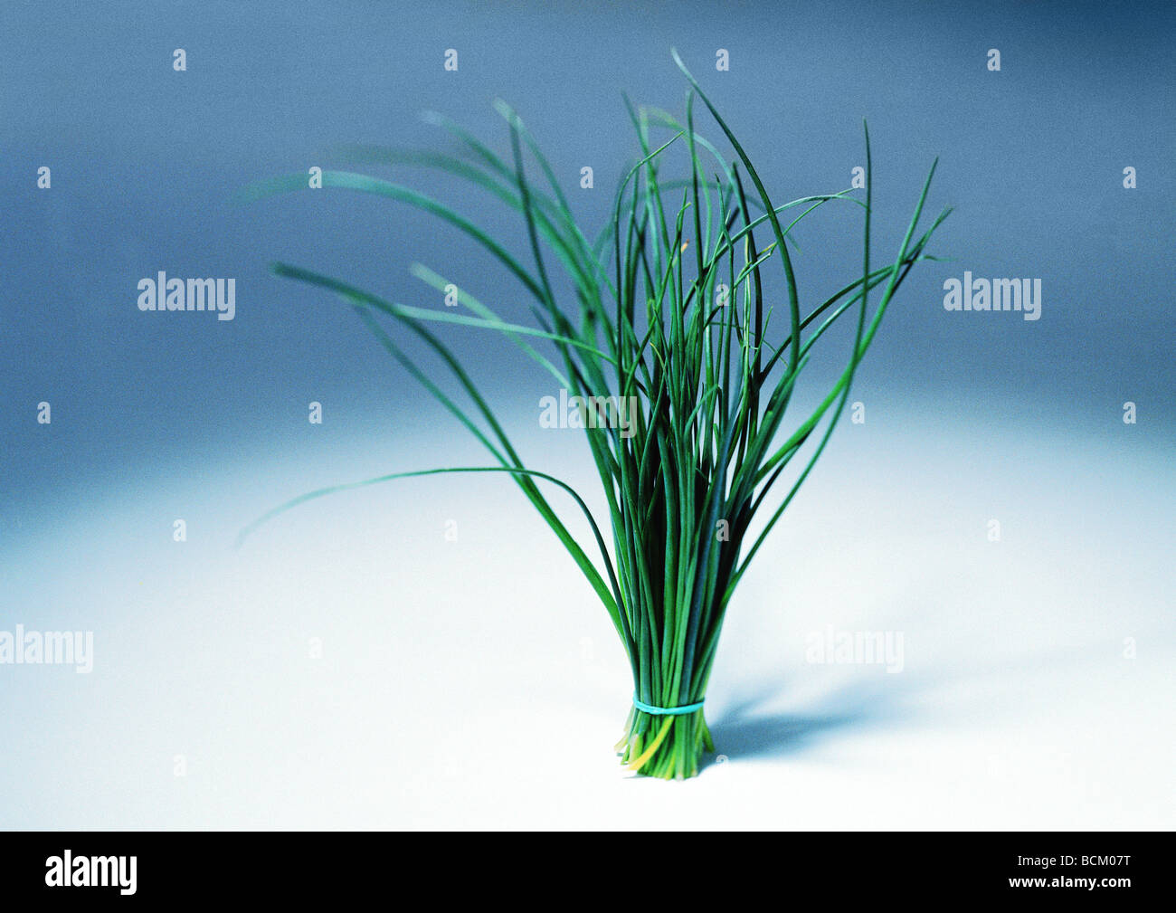 Close view on chives hi-res stock photography and images - Alamy