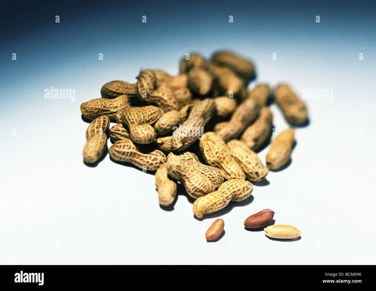 Angle many peanut hi-res stock photography and images - Alamy