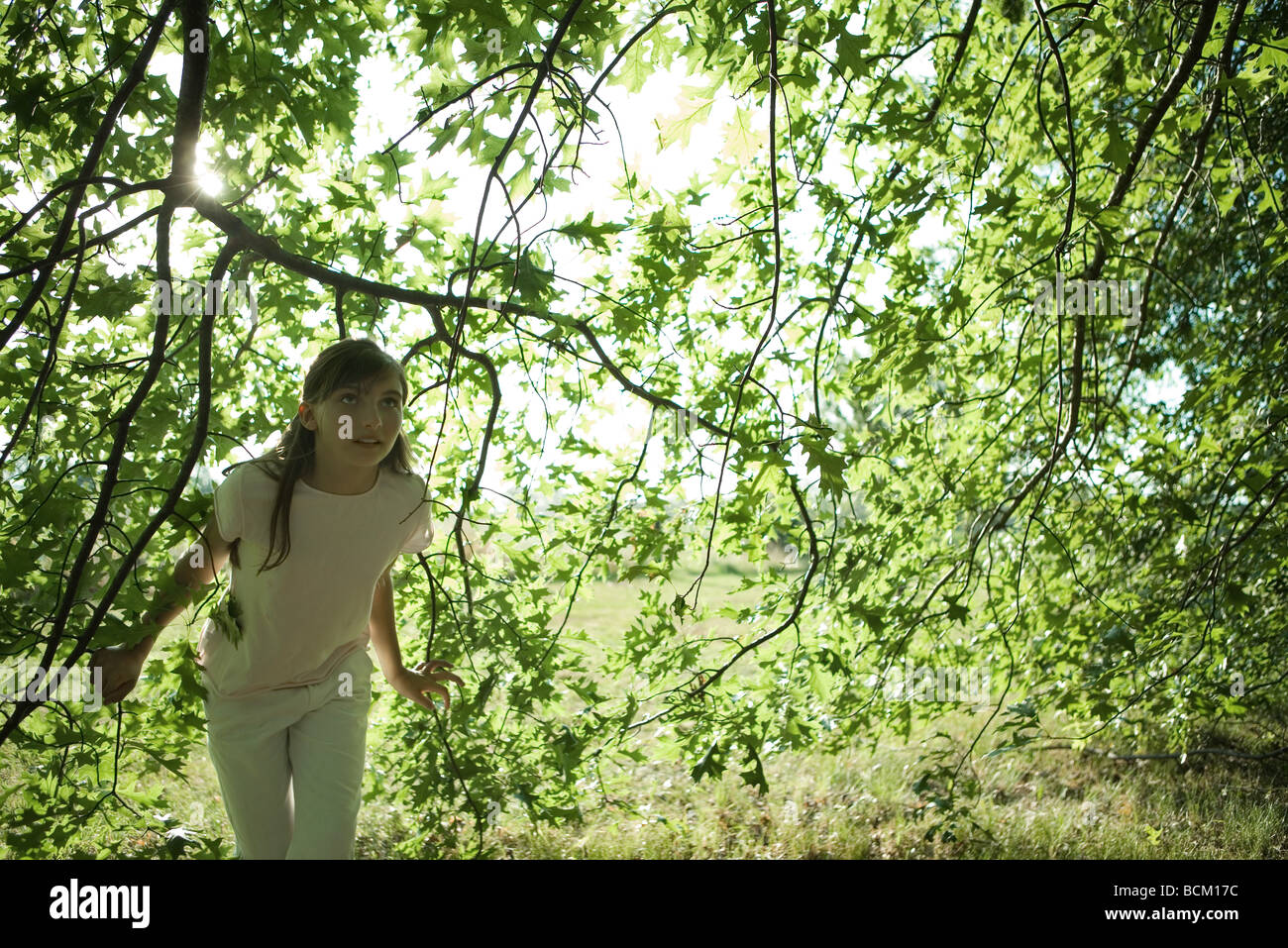 Girl walking under branches looking hi-res stock photography and images ...