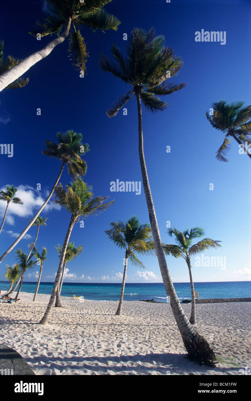 Bayahibe beach. Dominican republic, Caribbean Stock Photo - Alamy