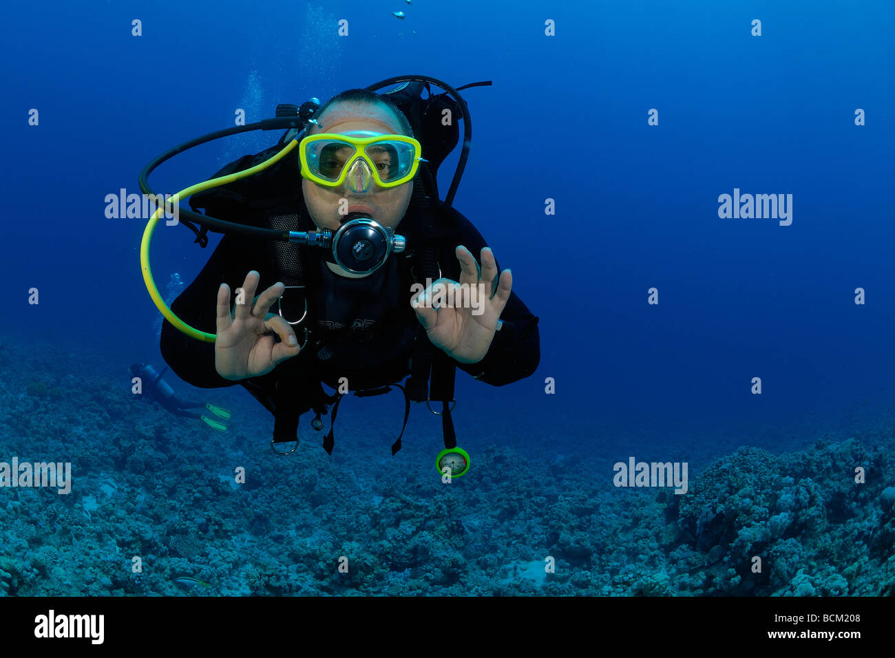 Scuba diver diong the sign OK with his two hands Stock Photo - Alamy