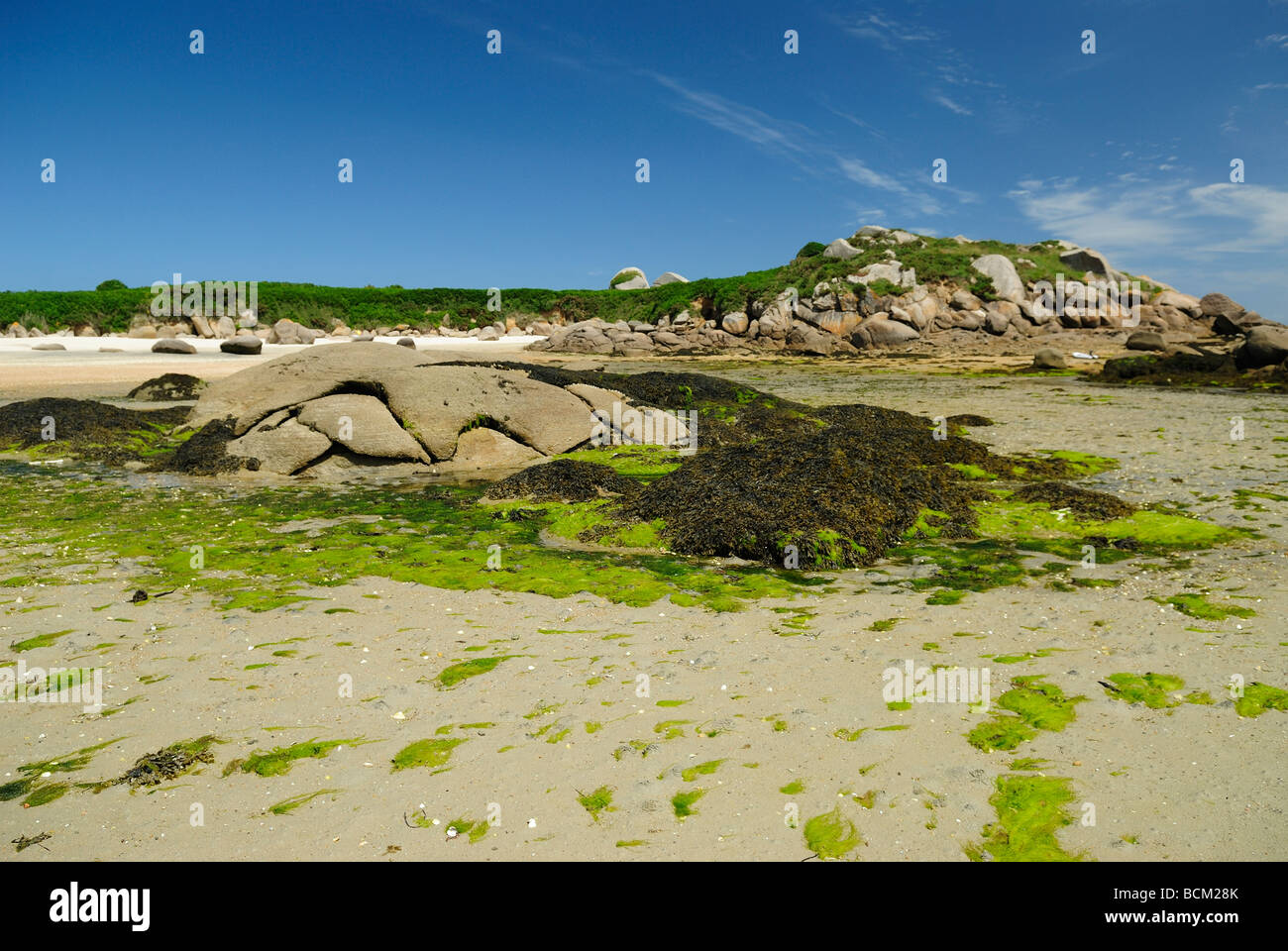 Granitic rocks and sandy beach covered with knotted wrack hi-res stock ...