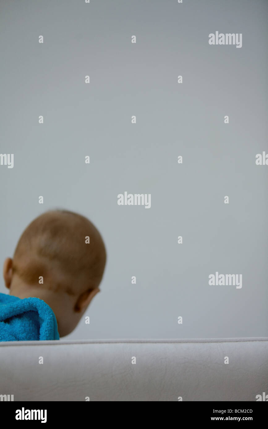 Baby's head, rear view Stock Photo - Alamy