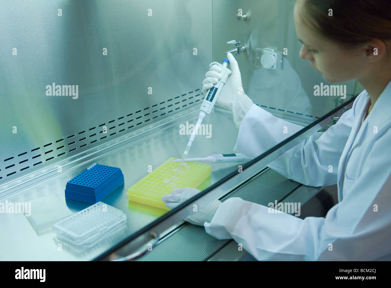 Female scientist working in laboratory, cropped view Stock Photo - Alamy