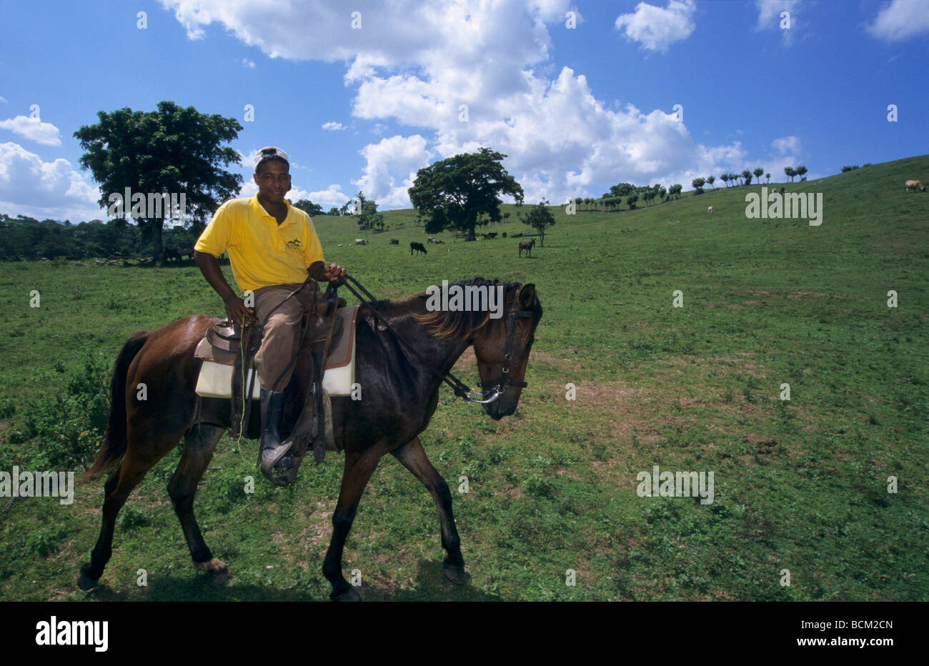Pastoral fields with a cowboy rider in La Altagracia province in the ...