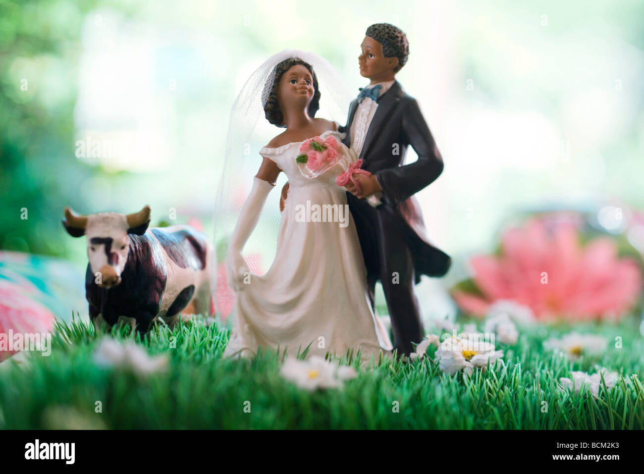 Human animal marriage High Resolution Stock Photography and Images - Alamy