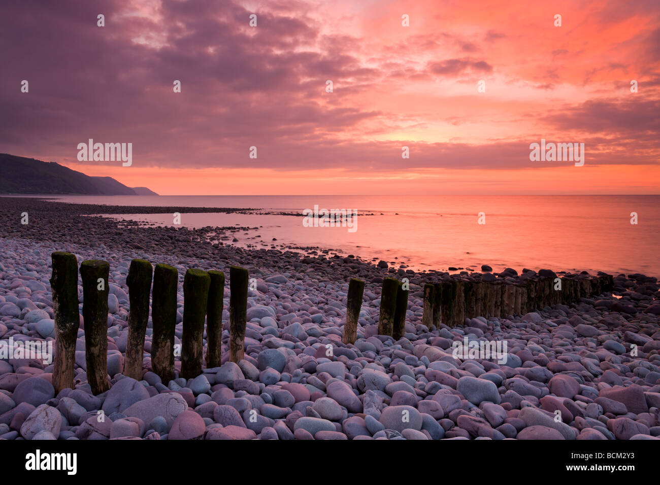 Wooden groyne sea defences on Bossington Beach at sunset Exmoor ...