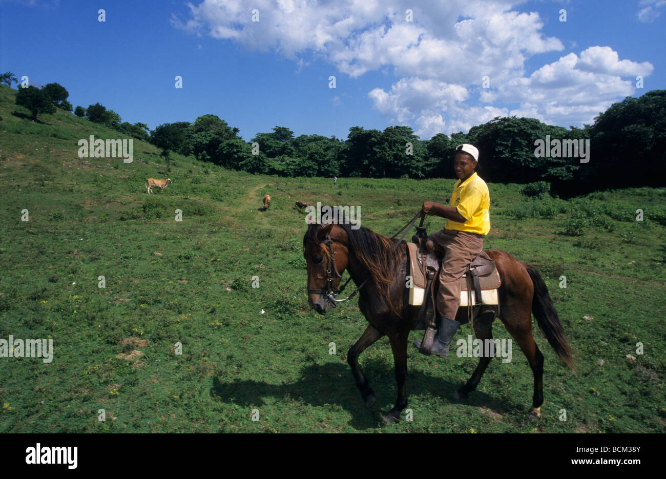 Pastoral fields with a cowboy rider in La Altagracia province in the ...