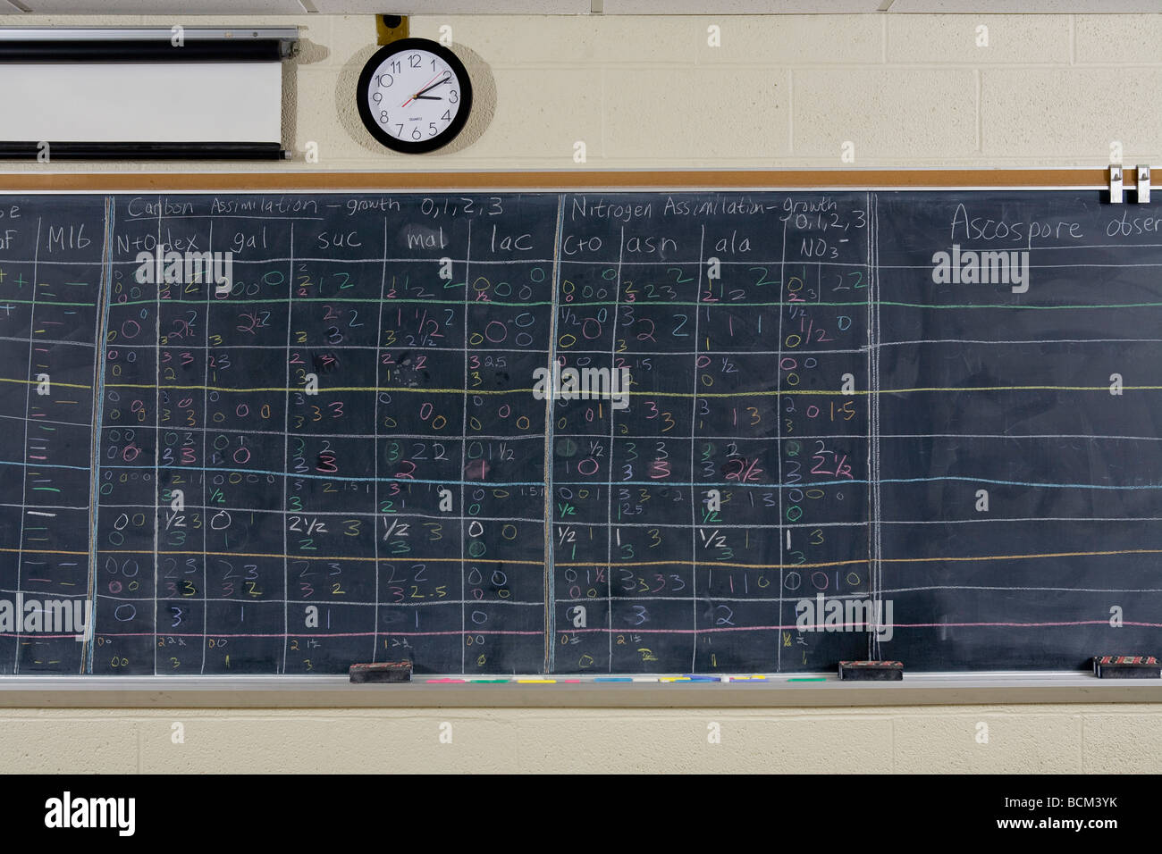 Scientific equation hi-res stock photography and images - Alamy