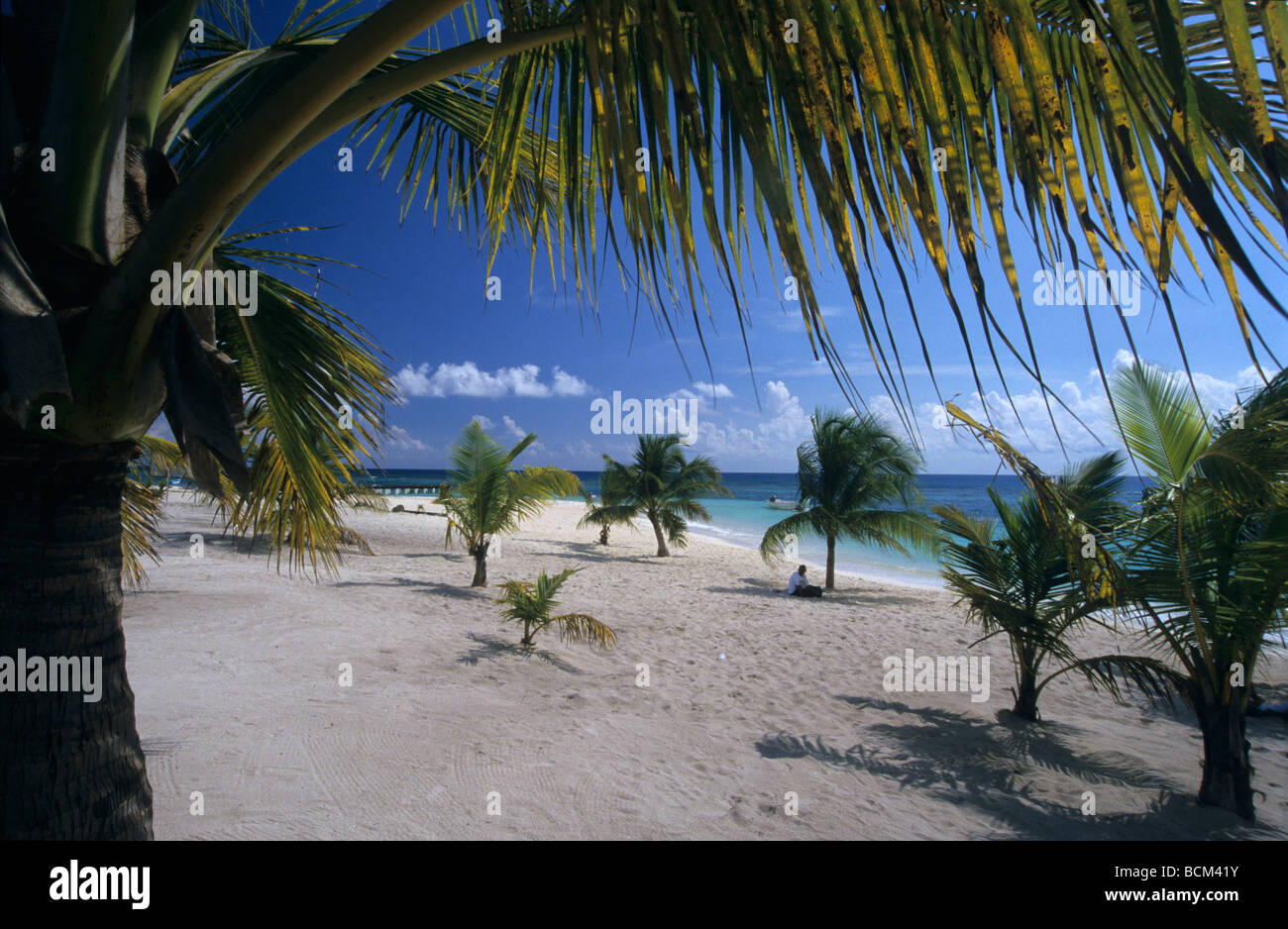 Saona island beach - Caribbean - Dominican Republic Stock Photo - Alamy