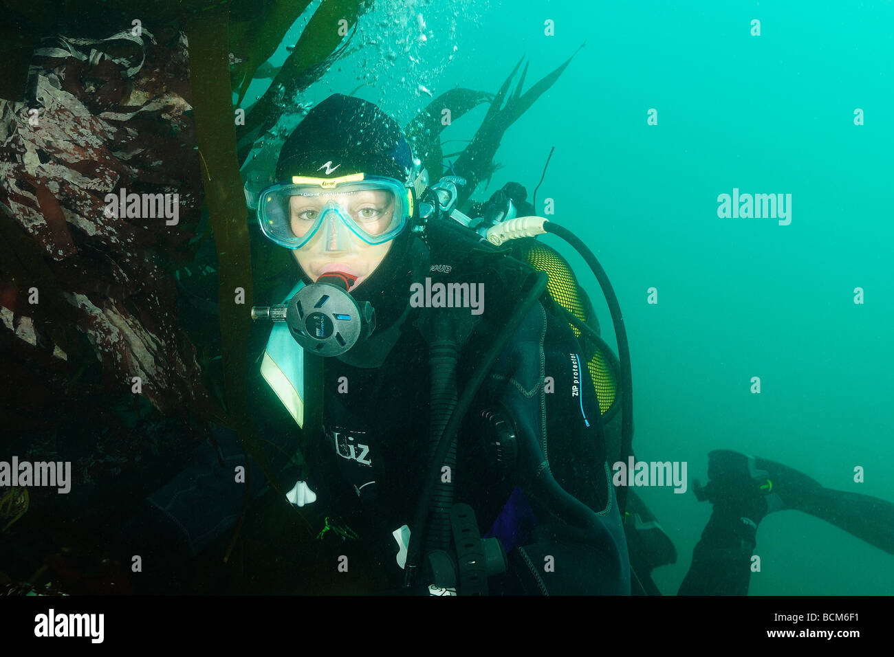 Woman scuba diver in kelp hi-res stock photography and images - Alamy