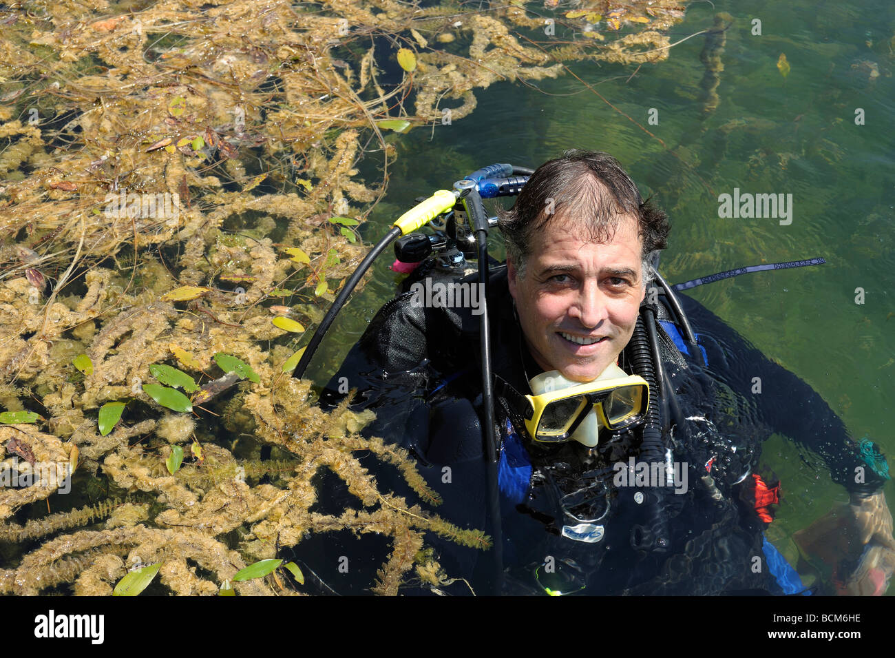A man scuba diver swimming in Clear Spring lake Texas Stock Photo - Alamy