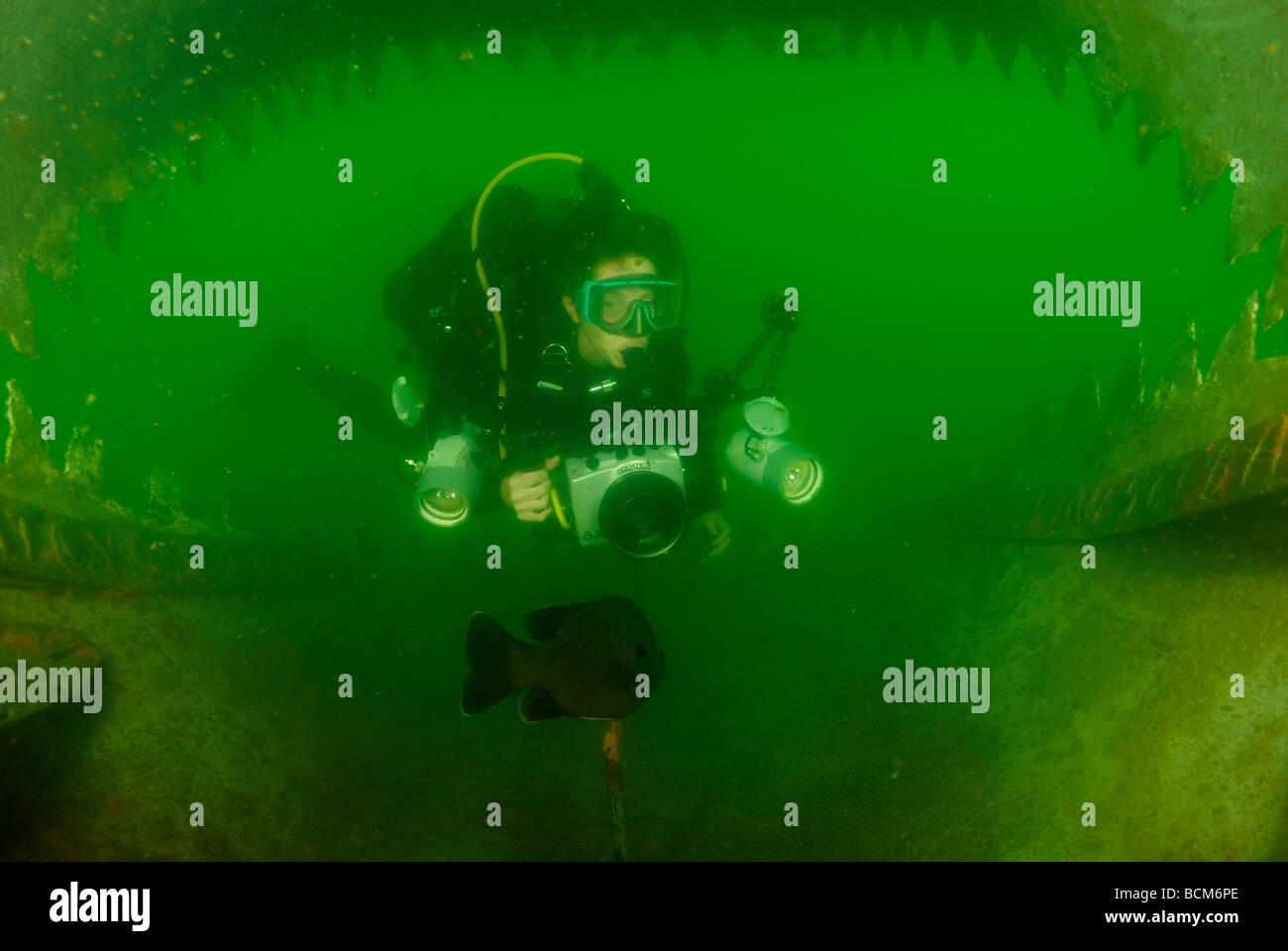 Diver shark wreck hi-res stock photography and images - Alamy