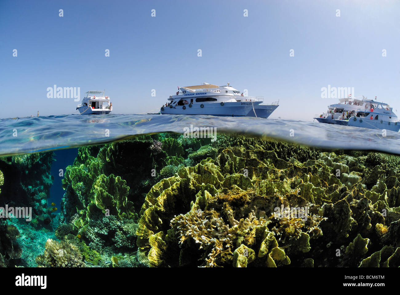 Diving boats anchored on a reef in the Red Sea, Egypt Stock Photo - Alamy