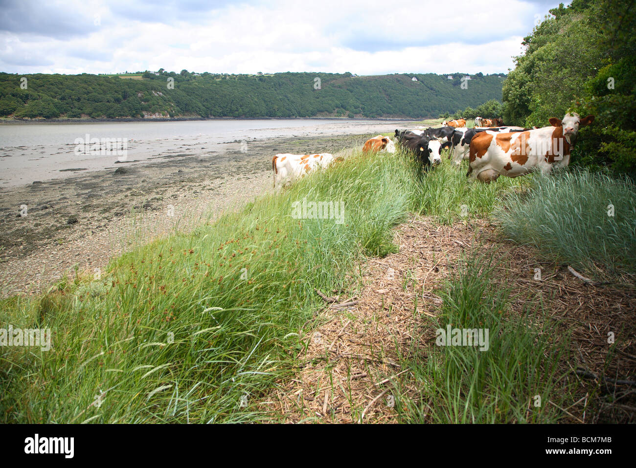 France, Brittany, Bretagne, Finistere, Finistère, Tregarvan Stock Photo ...