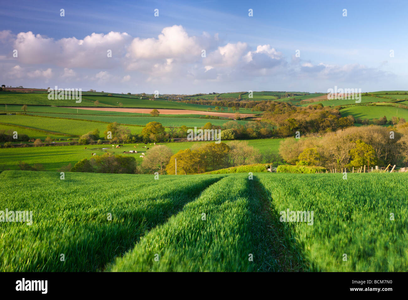 Uk crop marks hi-res stock photography and images - Alamy