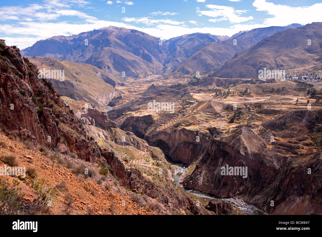 Cañón del Colca, Peru Stock Photo - Alamy