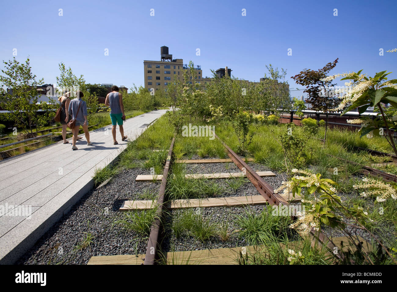 The High LIne Park, Chelsea, Manhattan, New York Stock Photo - Alamy