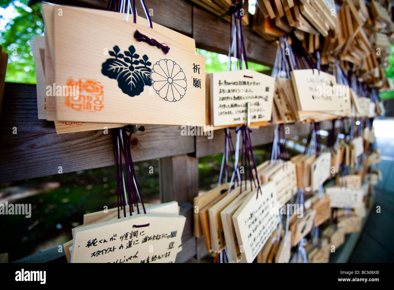 Prayer tablets hanging under the prayer tree at Meiji Jingu Shrine in ...
