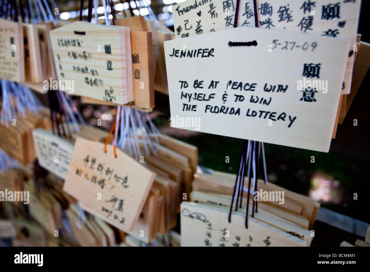 Prayer tablets hanging under the prayer tree at Meiji Jingu Shrine in ...