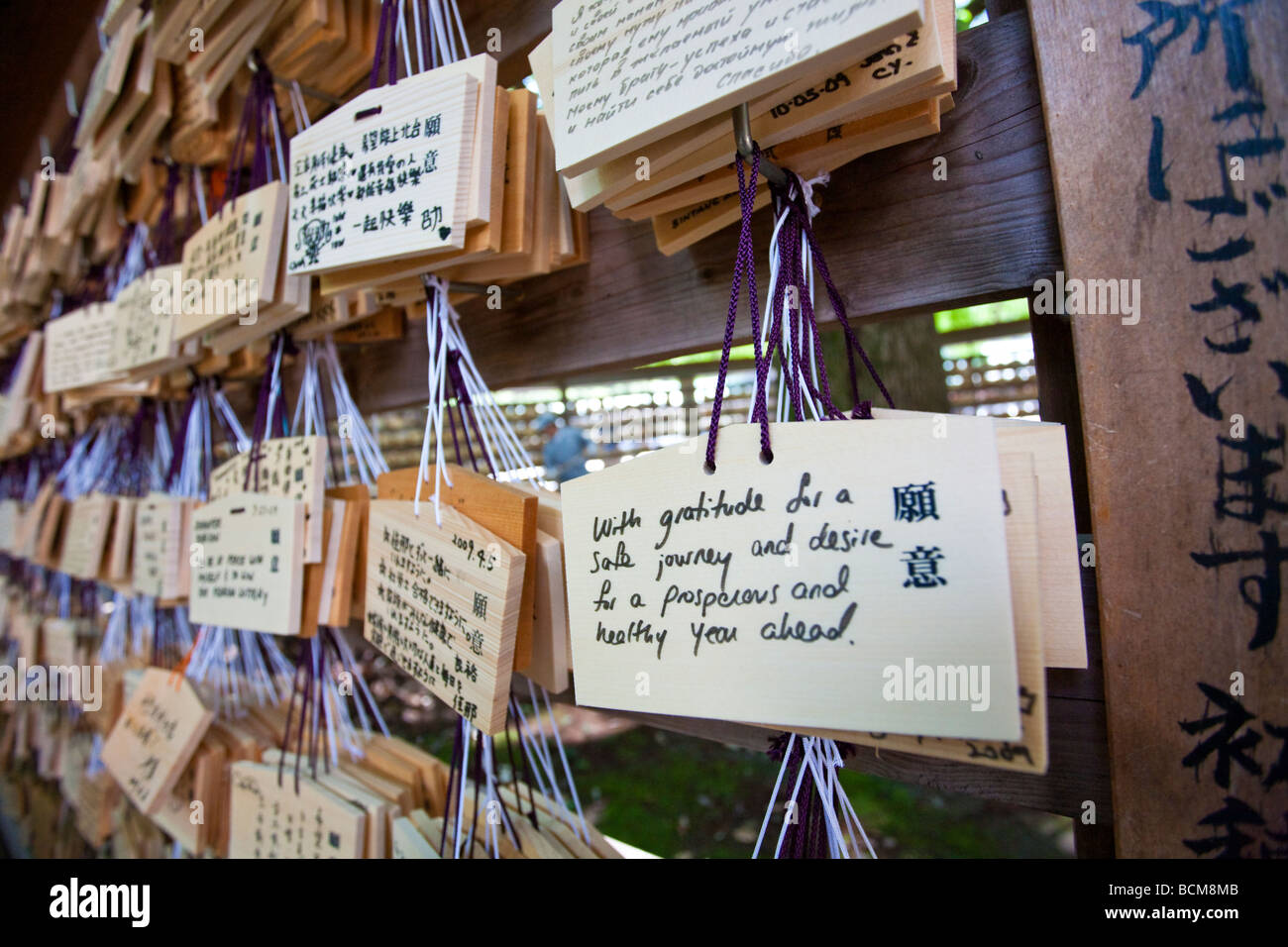 Prayer tablets hanging under the prayer tree at Meiji Jingu Shrine in ...