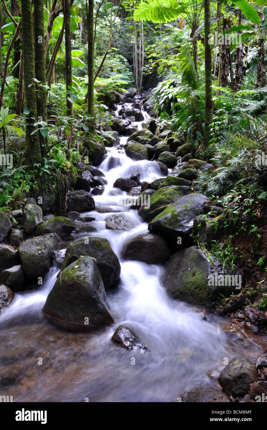 Babbling brook hi-res stock photography and images - Alamy